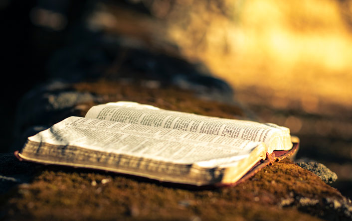 Jesus: The True and the Better - Eternal Perspective Ministries