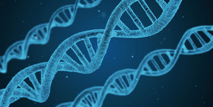 Ten Major Flaws of Evolution - Revised - Resources - Eternal ...