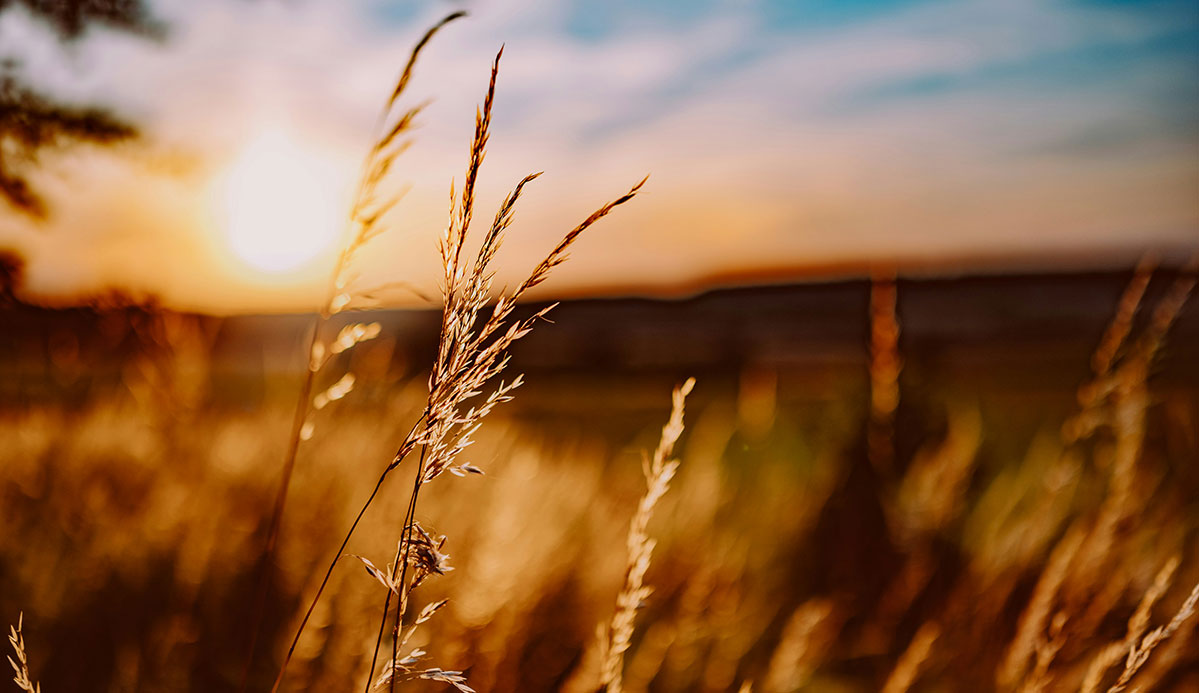 The Best Part of the New Earth Will Be Enjoying God’s Presence ...