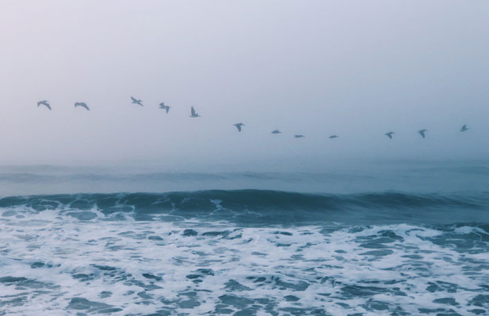 Florence Chadwick and the Fog - Eternal Perspective Ministries