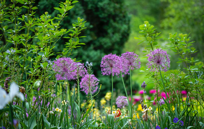 Was Eden Really Near the Tigris and Euphrates as Genesis Describes and ...