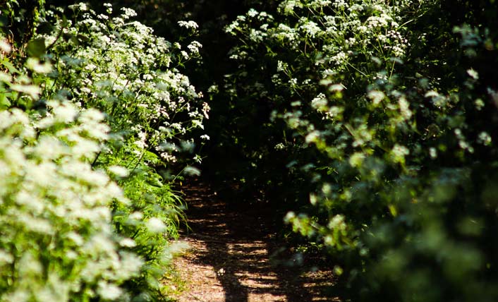 Was God in the Habit of Visiting with Adam and Eve in the Garden ...