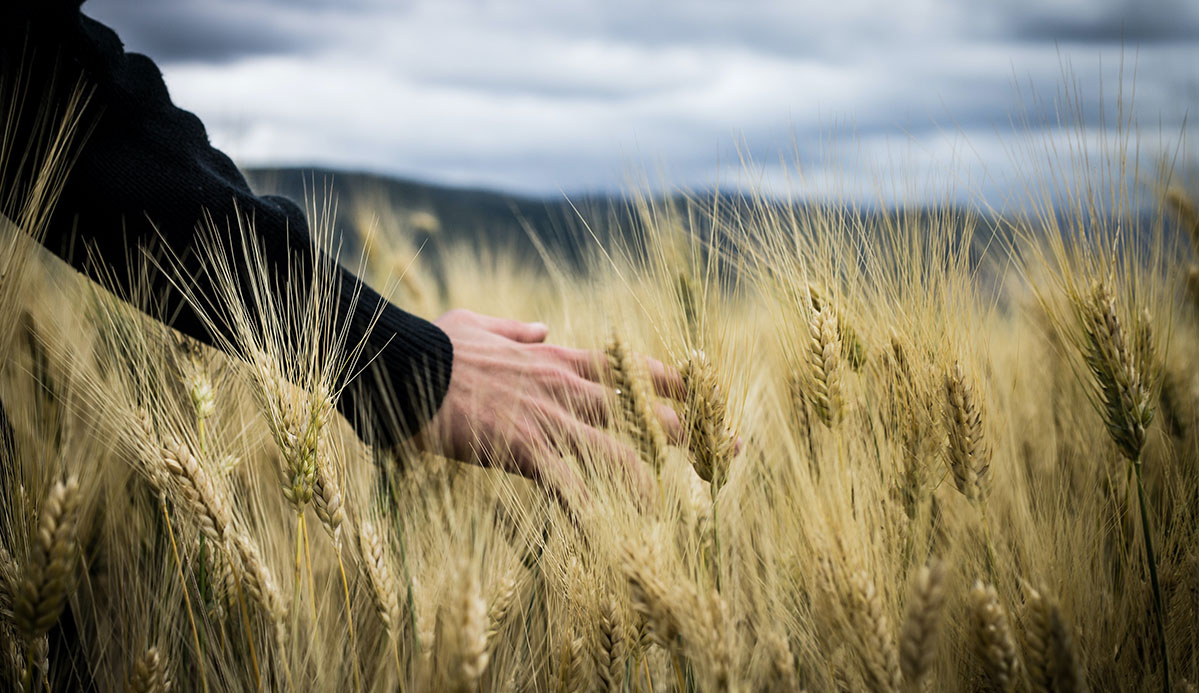 Does EPM Believe in Giving to Receive a Harvest in Return? - Eternal ...