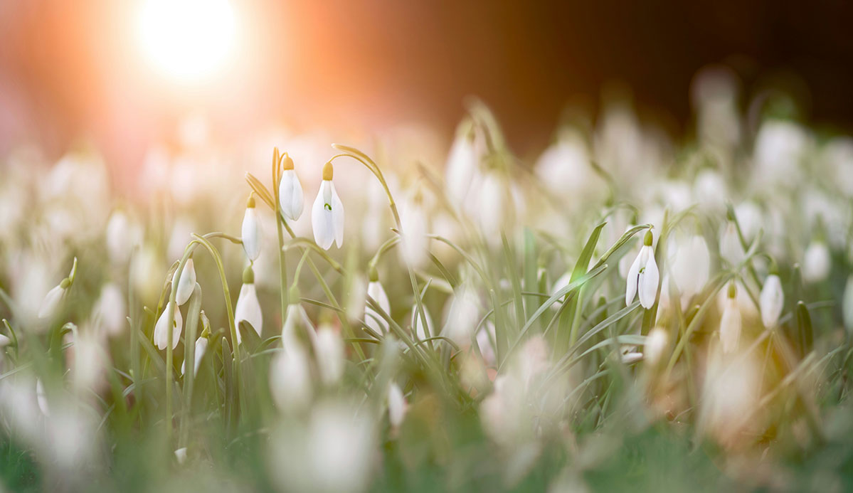 God’s Good Plans for Us Are Better Than We Can Imagine - Eternal ...