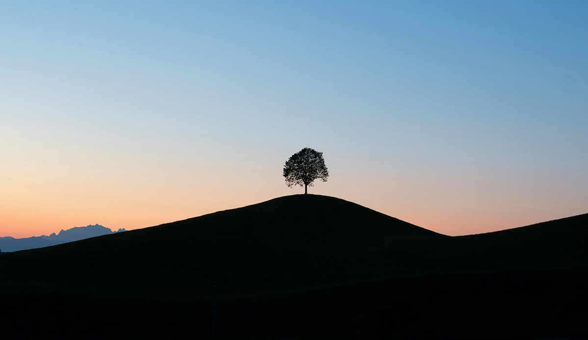 What Does It Mean That Christ Ransomed Us? - Eternal Perspective Ministries