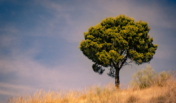 A Life of Humility - Eternal Perspective Ministries