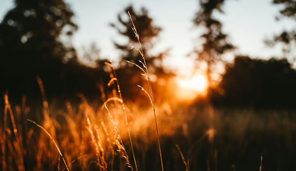 Do Those in the Present Heaven Experience Time as They Wait for Their ...