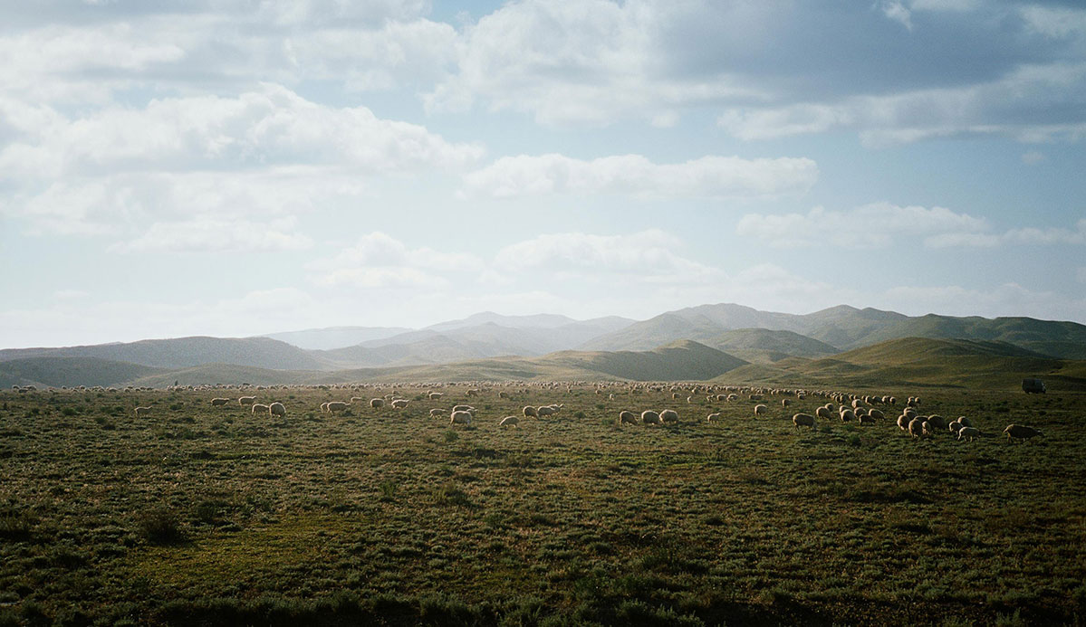 Will Jesus Still Intercede for Us in Eternity? - Eternal Perspective Ministries