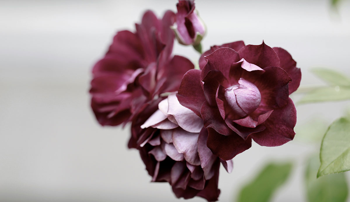 How Can I Find Help When I Am Grieving and All Alone? - Eternal ...