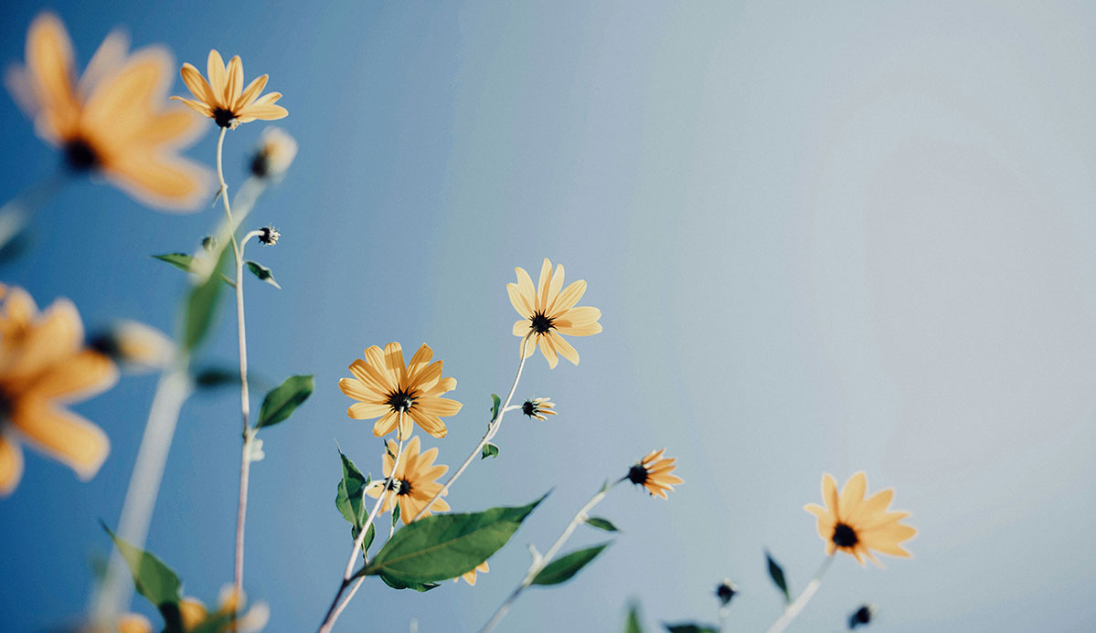 If We Realize We’re Undeserving, Suddenly the World Comes Alive ...